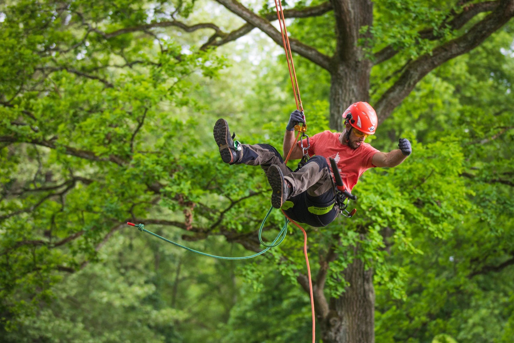 German Tree Climbing Championships