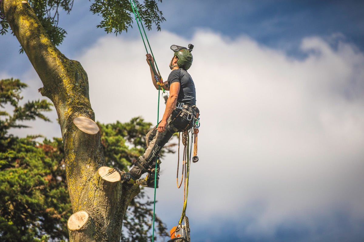 Tree Fellas - Browns Tree Management – Arbortec Forestwear