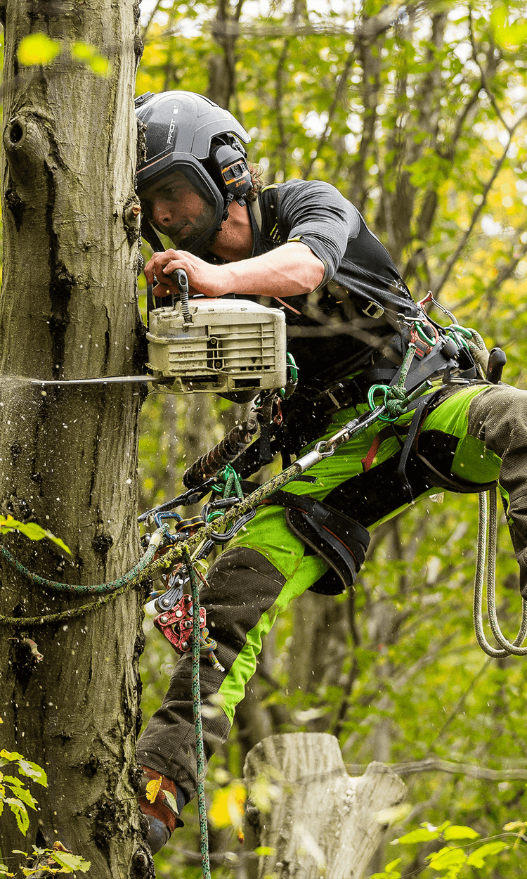 Arbortec Forestwear | Chainsaw Trousers & Tree Climbing Gear